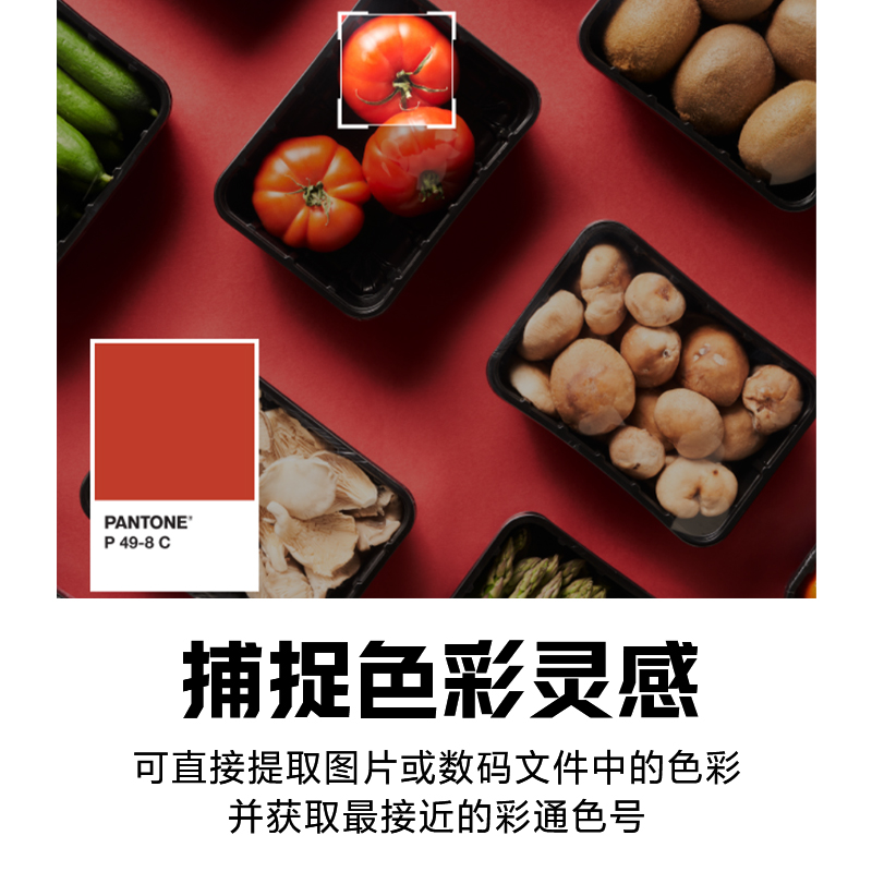 国际标准色卡_Pantone标准CU色卡_常用款色卡|Pantone潘通中国官网