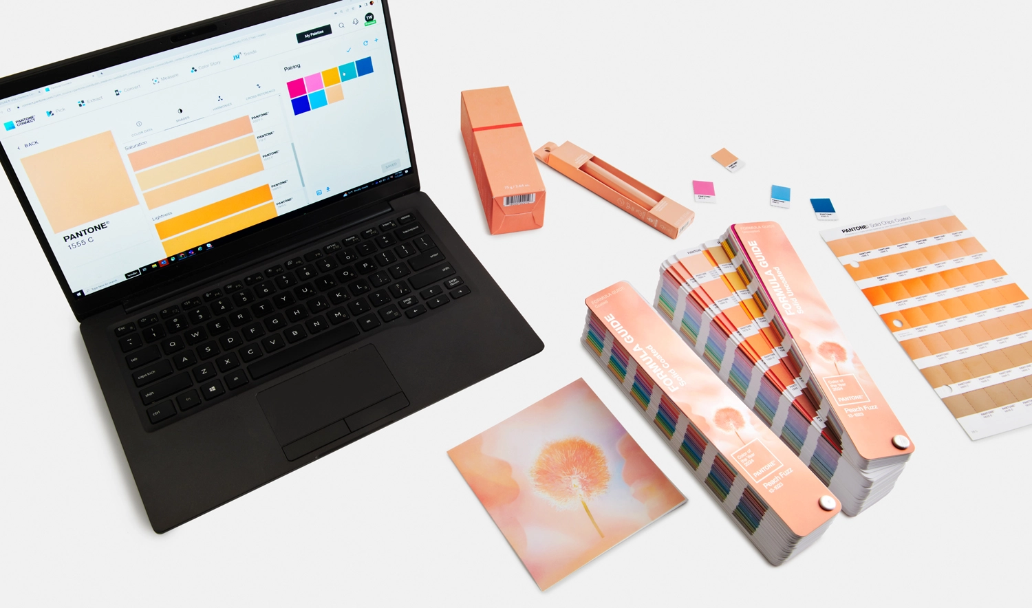 配方指南－彩通 2024 年度代表色限量版 Formula Guide, Limited Edition Pantone Color of ...