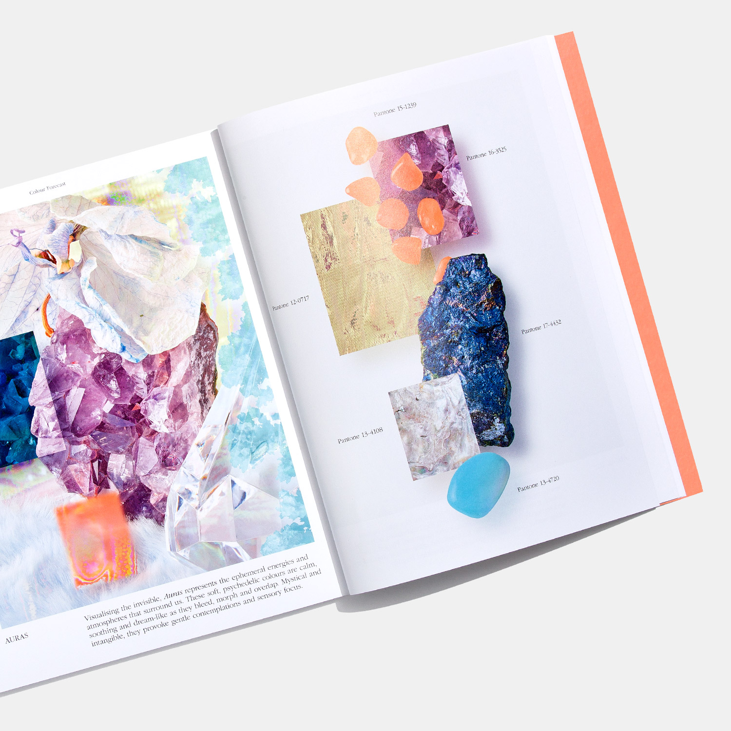 《色彩观点》第十期-共生|Pantone潘通中国官网