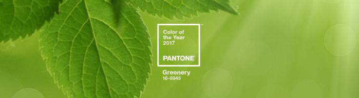 历年流行色回顾,带你看看PANTONE每年发布的流行色|Pantone潘通中国官网