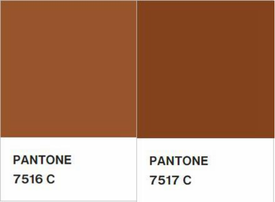 栗色是什么颜色?栗色和棕色的区别?栗色颜色搭配技巧|Pantone潘通中国官网