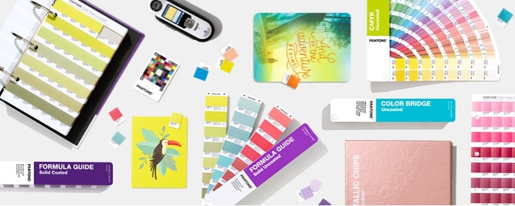色卡是什么？色卡是干什么用的？色卡的作用介绍|Pantone潘通中国官网