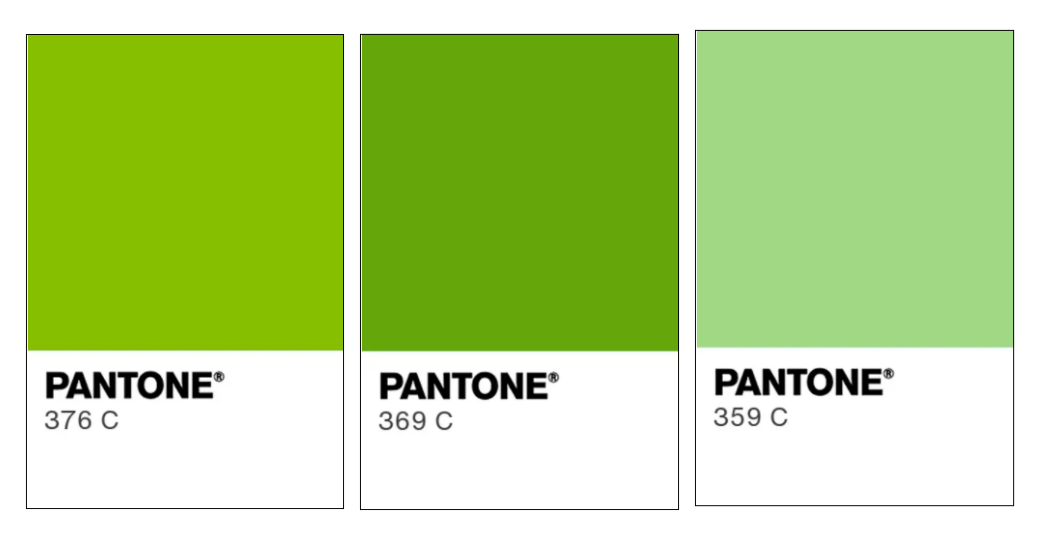 草绿色是什么颜色？草绿色色卡颜色搭配方案|Pantone潘通中国官网