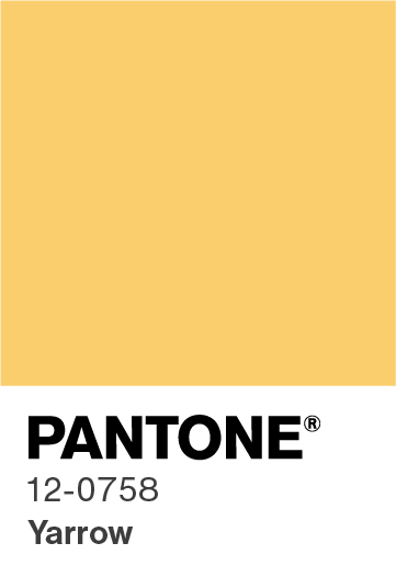 色彩创意混搭,反映艺术独特性和自由审美的配色|Pantone潘通中国官网