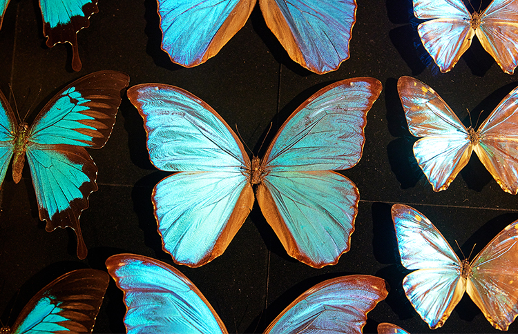 自然灿烂的色彩：伦敦丘园|Pantone潘通中国官网