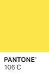 Pantone Color of the Year 2021 / 设计师的工具|Pantone潘通中国官网