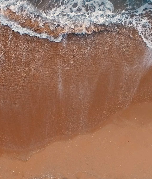 Earth Day|Pantone潘通中国官网