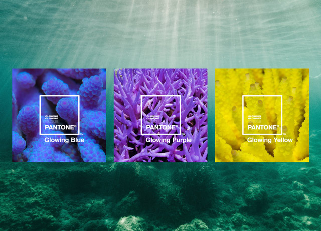 Earth Day|Pantone潘通中国官网