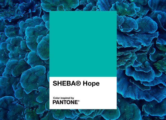 Earth Day|Pantone潘通中国官网