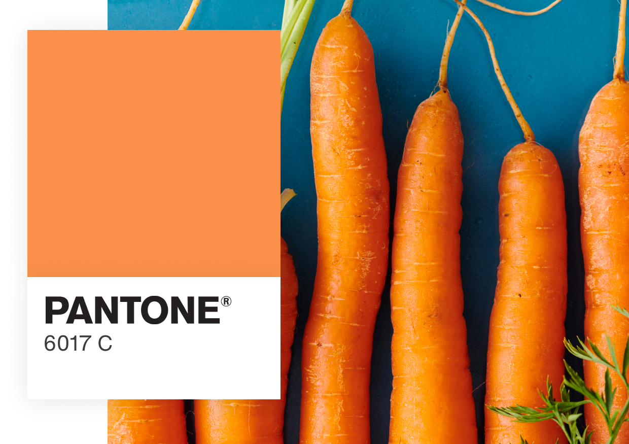 彩通平面设计解决方案的力量|Pantone潘通中国官网