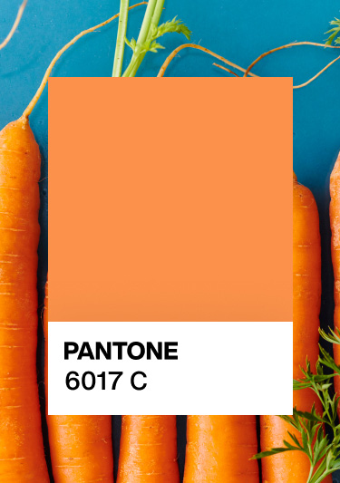 彩通平面设计解决方案的力量|Pantone潘通中国官网