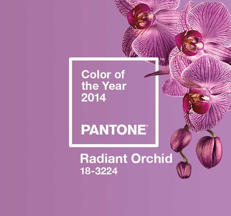 Color of the Year 2014: PANTONE 18-3224 Radiant Orchid|Pantone潘通中国官网